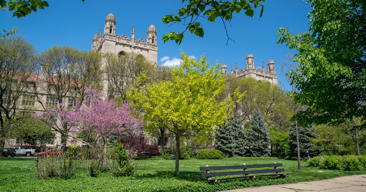 Office of College Community Standards | The College | The University of ...