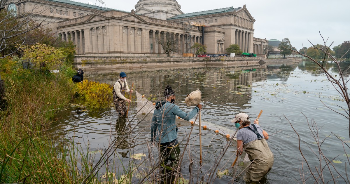 Interdisciplinary Biology Track: Ecology & Evolution | The College ...