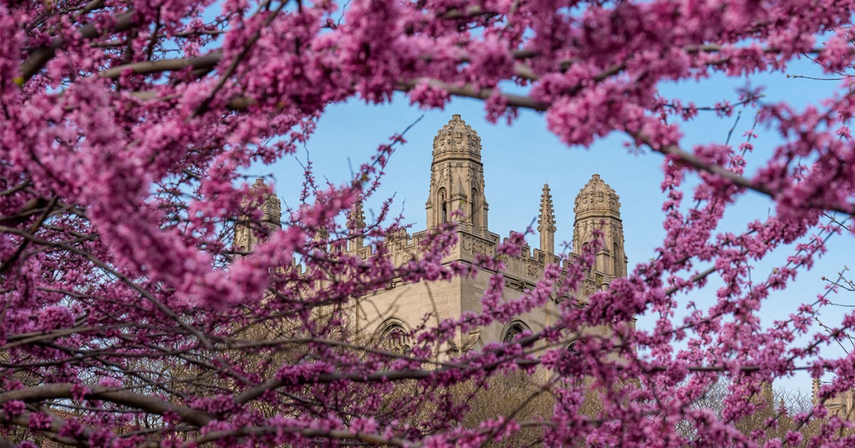 Two UChicago students receive Udall honors for environmental advocacy ...